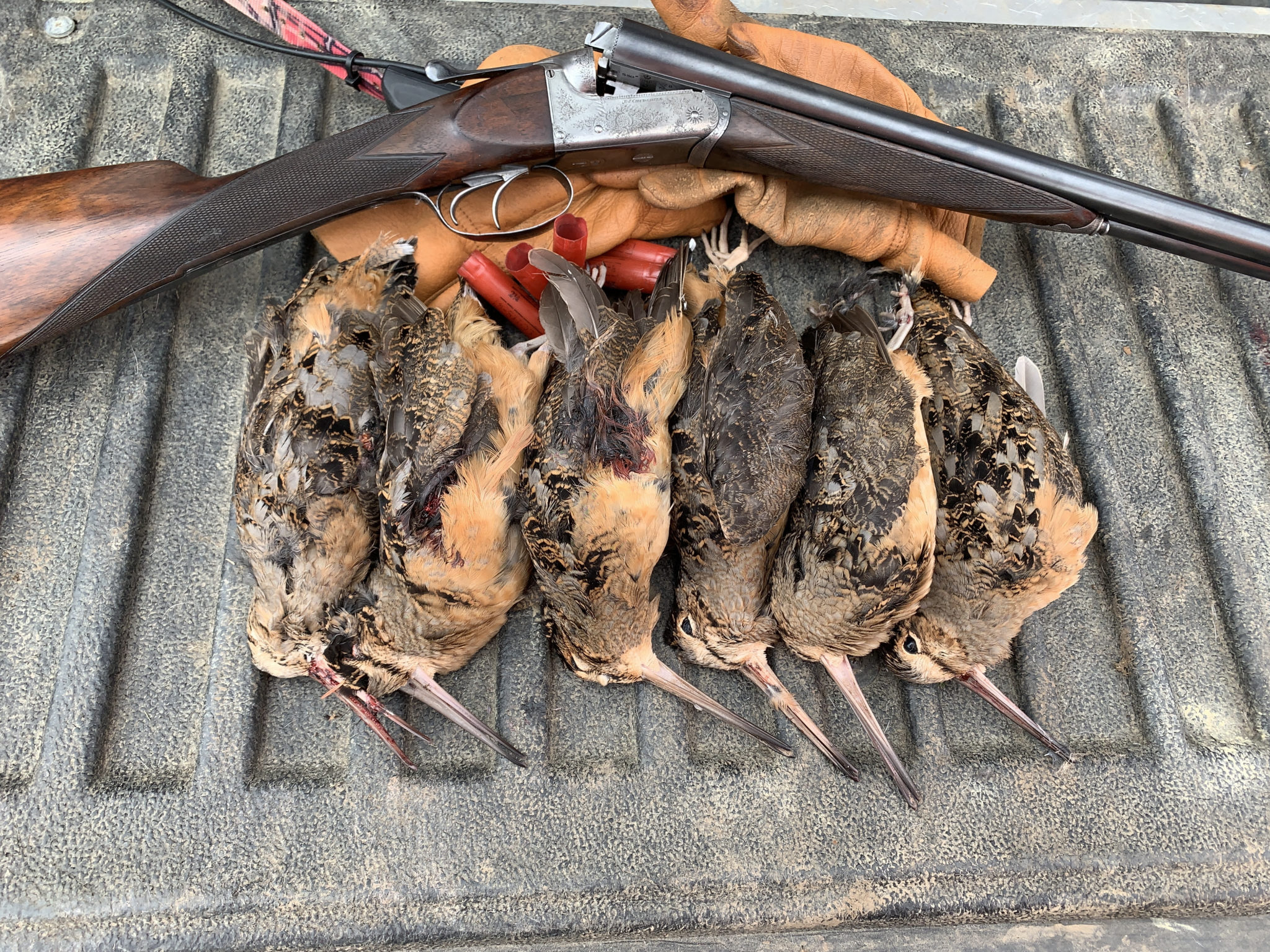 Guide Service – Wild Apple Kennel